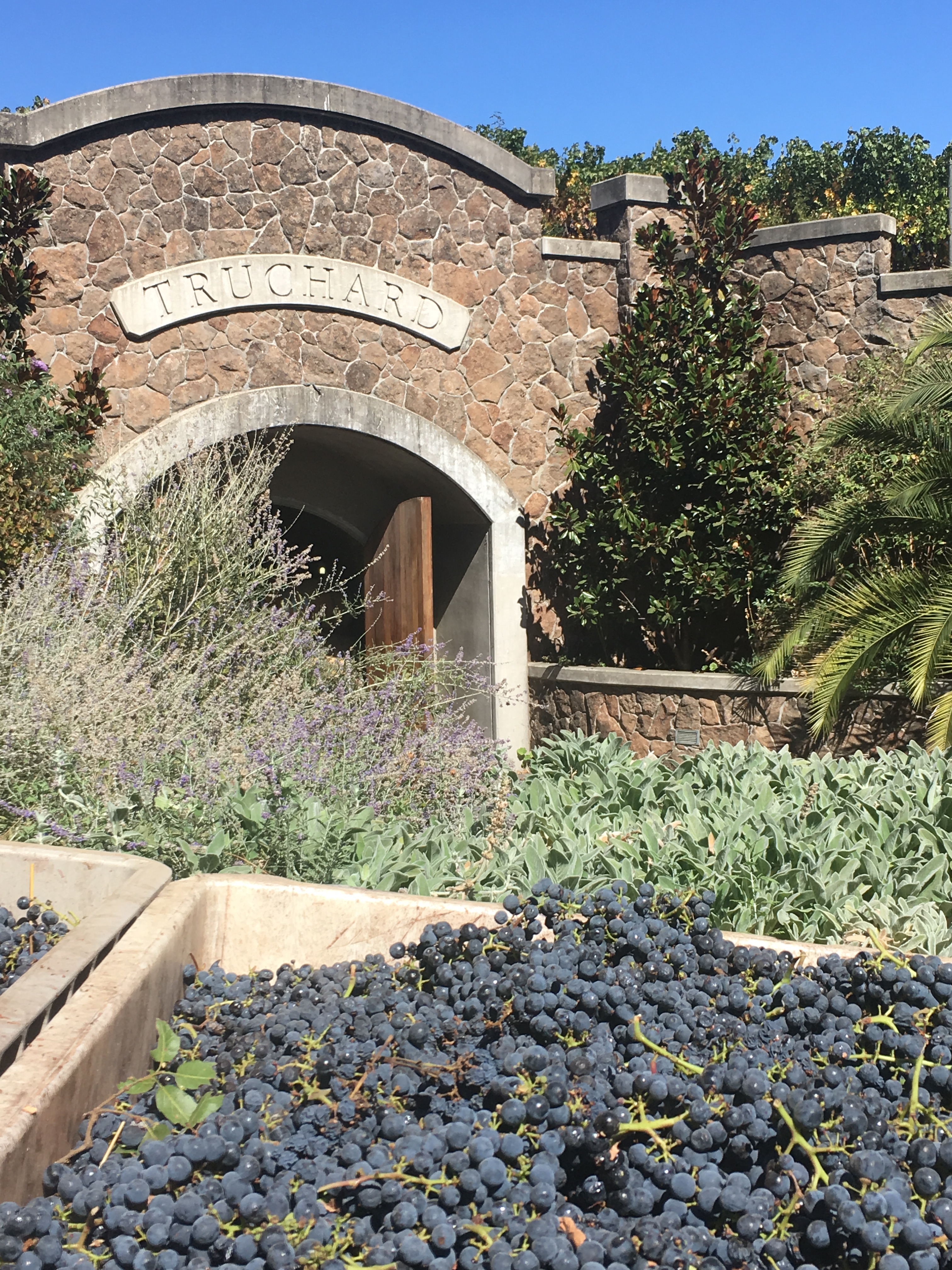 Anthony Truchard - Truchard Vineyards, California | Bibendum Wine