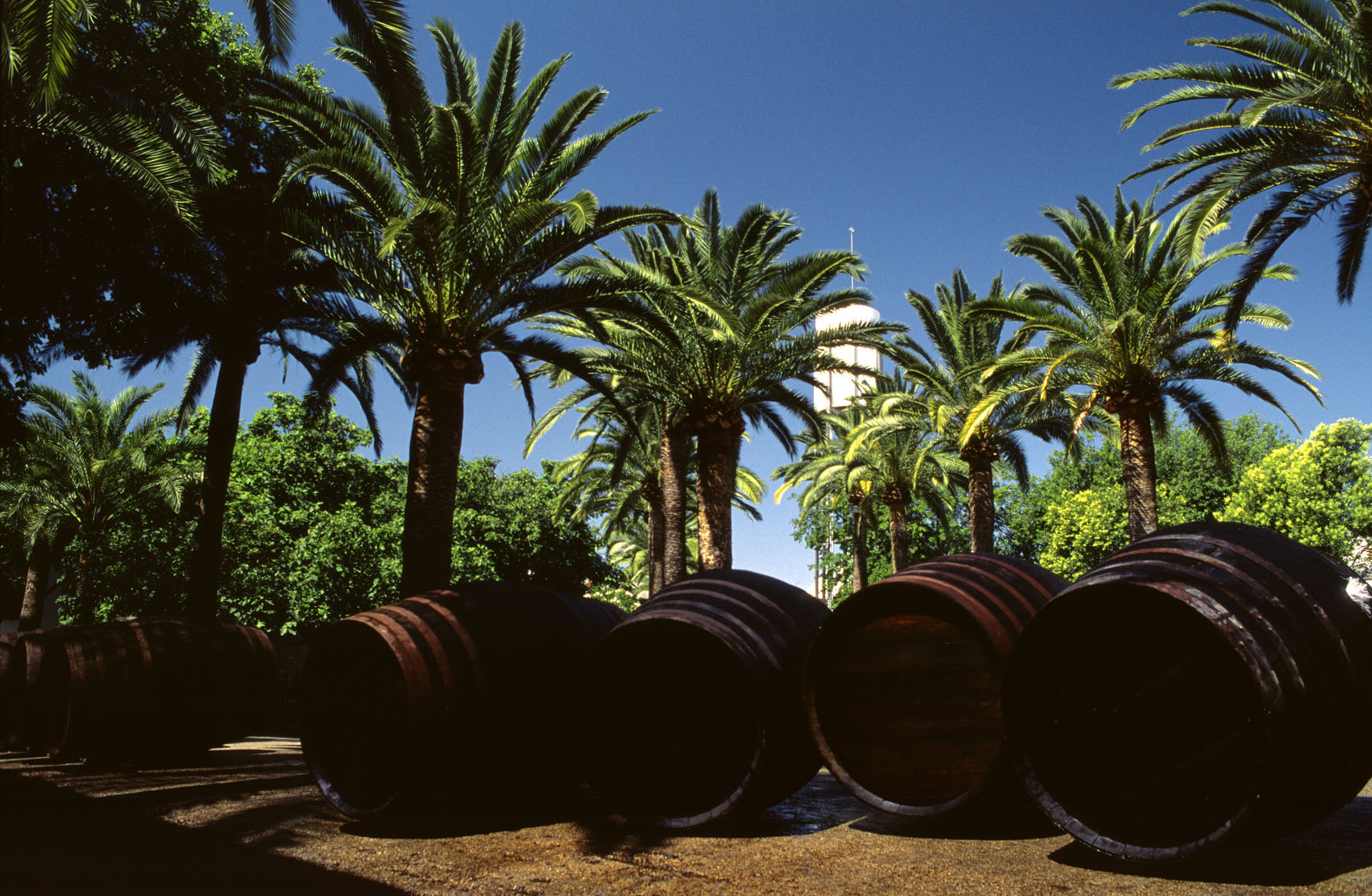 Alvear | Bibendum Wine