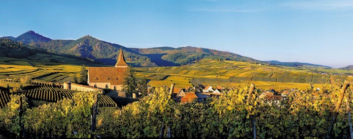 Jean Biecher | Bibendum Wine
