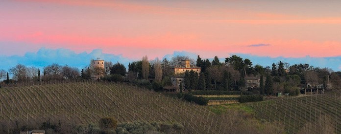 Marotti Campi | Bibendum Wine