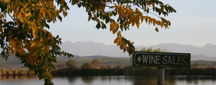 Springfield Estate | Bibendum Wine