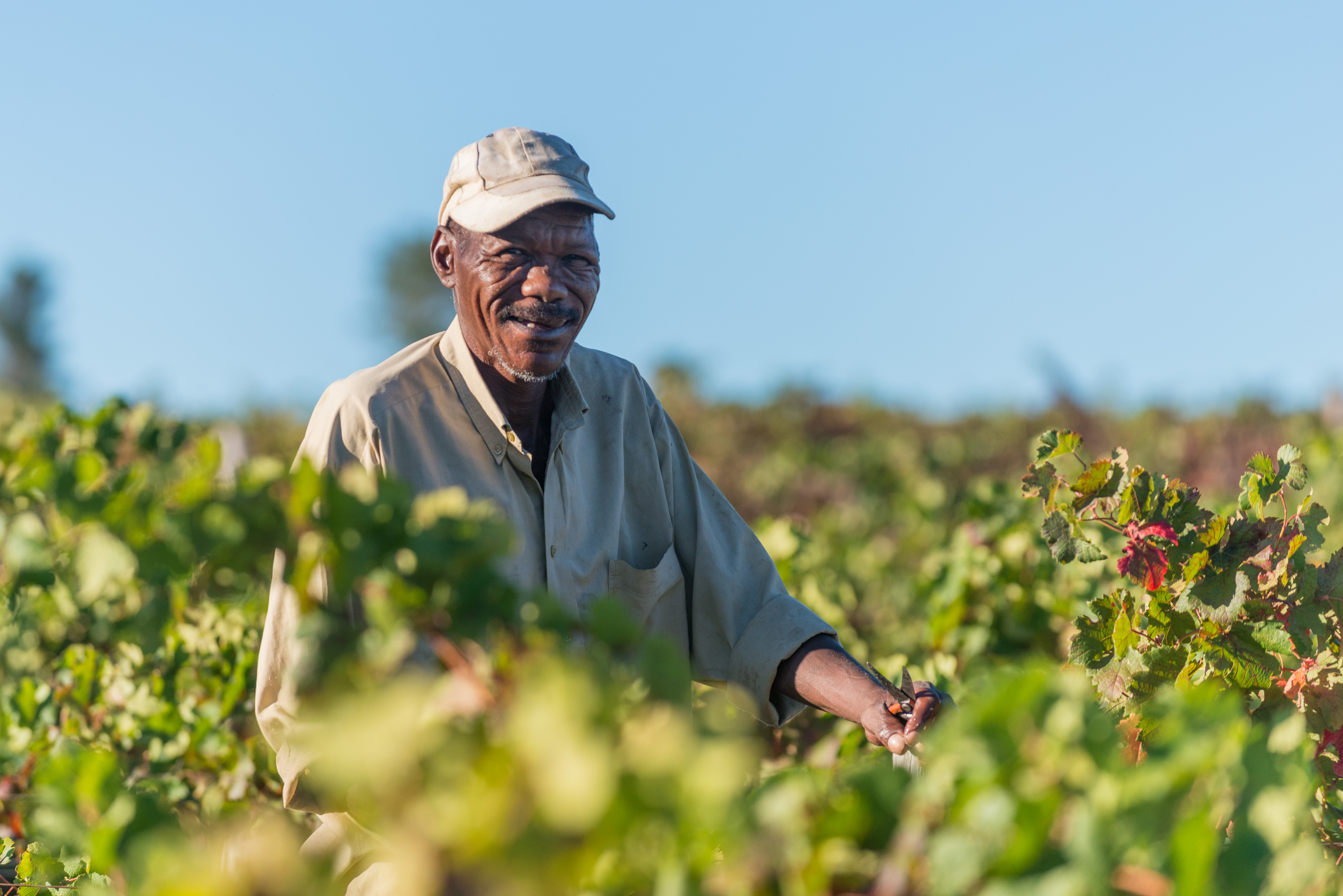 Stellenrust - Producers | Bibendum Wine