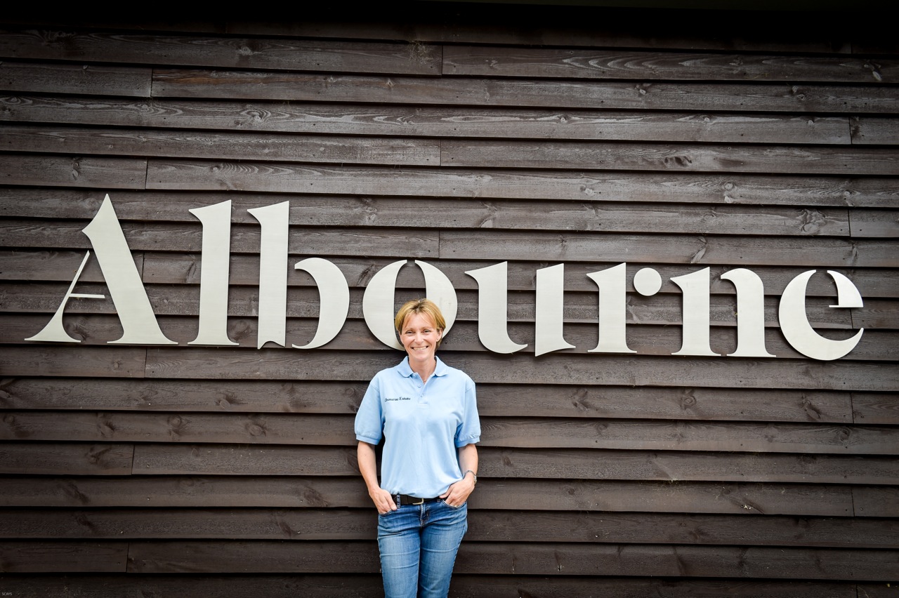 Making the most of English wine: driving diversity is key | Bibendum Wine