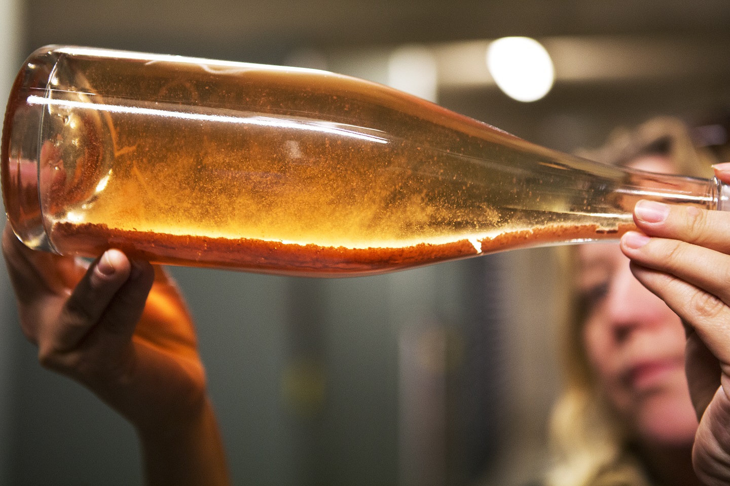 24 years of English Winemaking with Ridgeview | Bibendum Wine