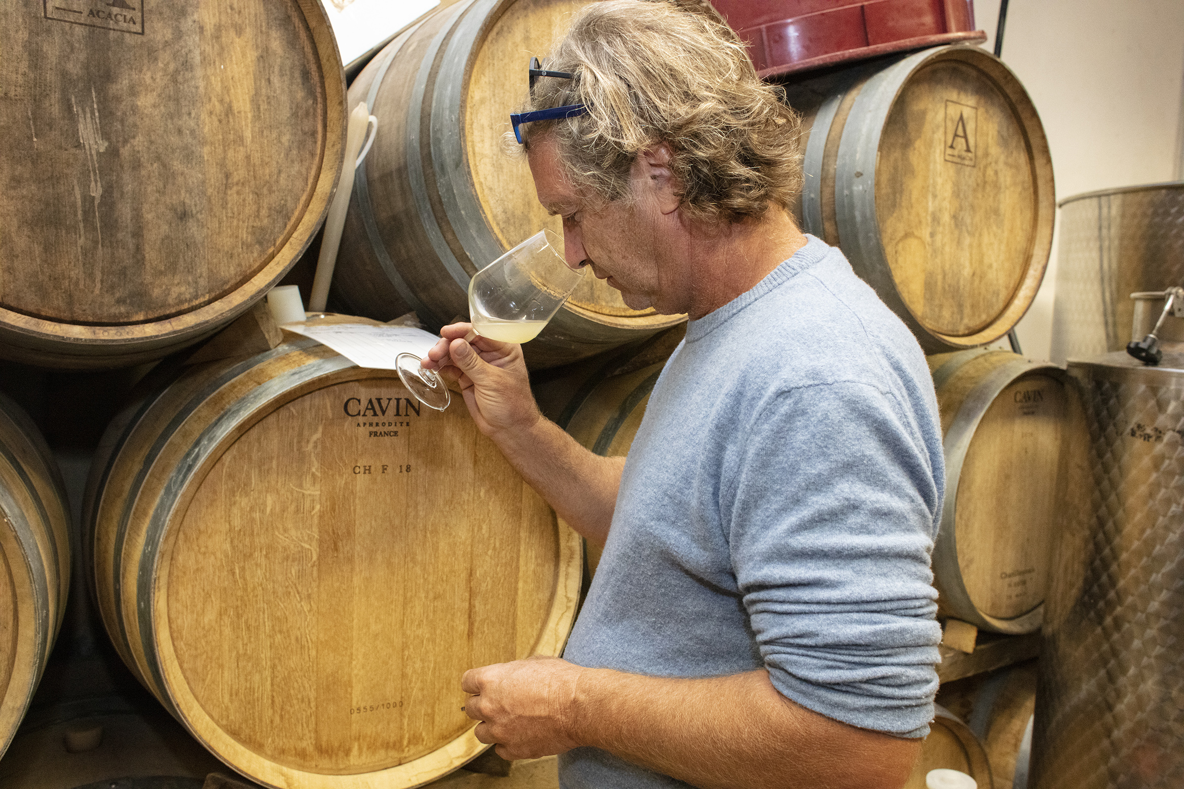 The new wines you'll love: Bibendum's class of 2020 | Bibendum Wine