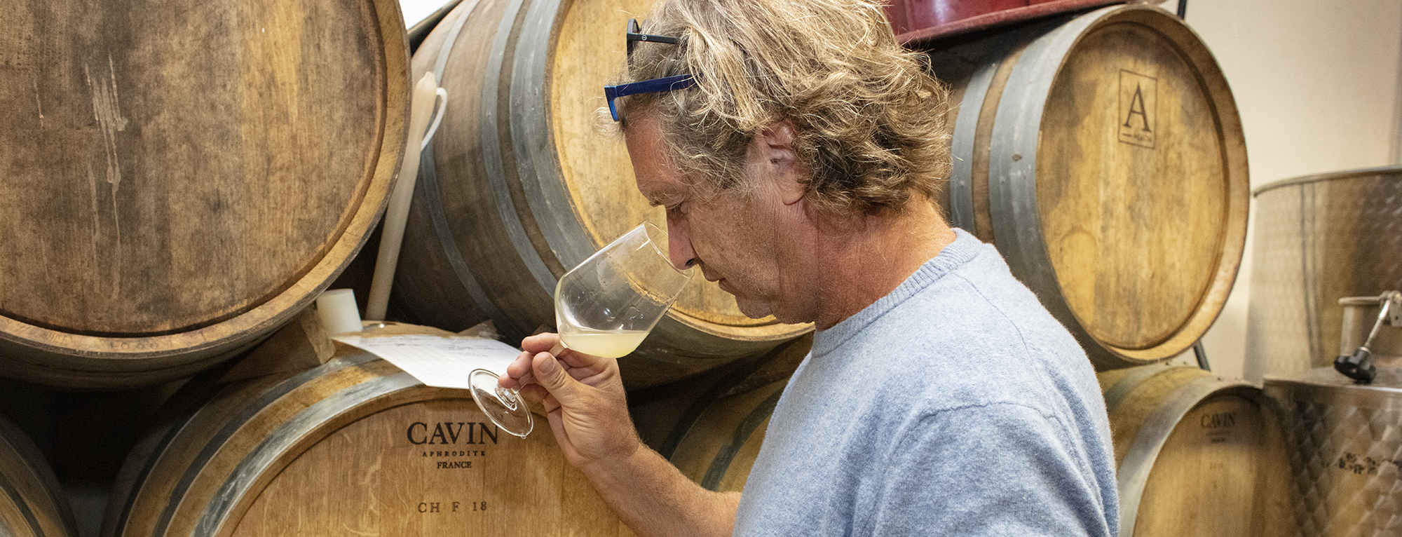 The new wines you'll love: Bibendum's class of 2020 | Bibendum Wine