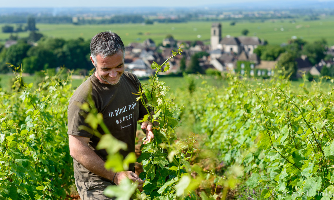 Domaine Nicolas Rossignol | Bibendum Wine