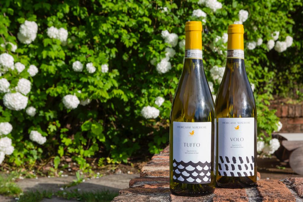 Ten minutes with Morgassi Superiore | Bibendum Wine