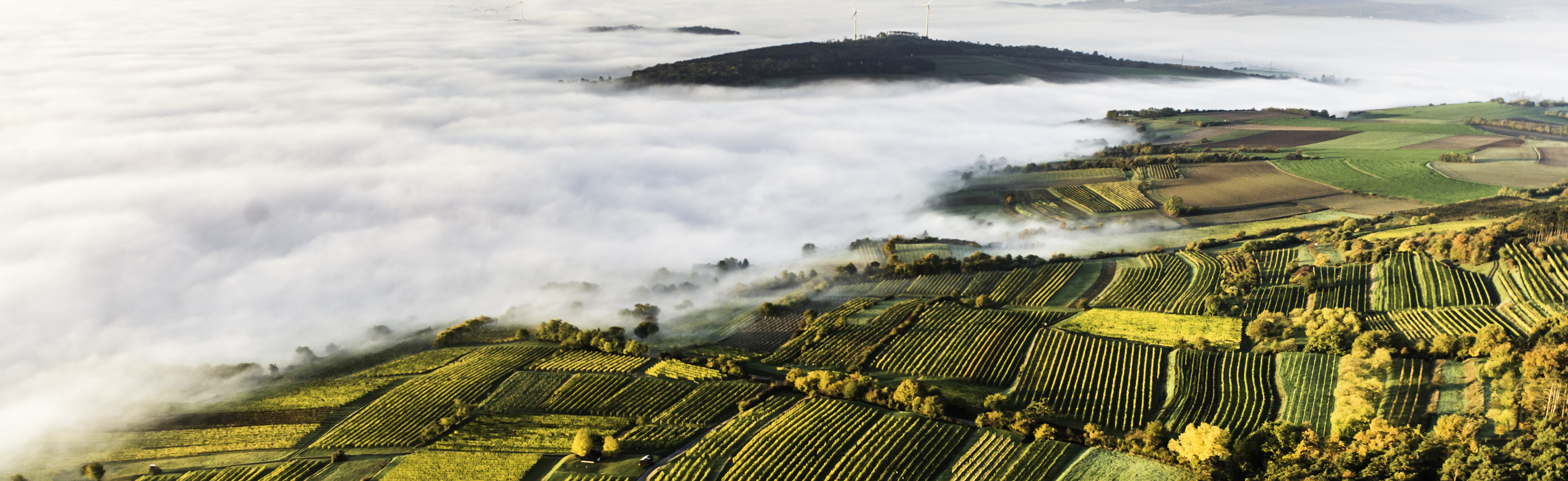 Markus Huber – Why soil is the most important thing | Bibendum Wine