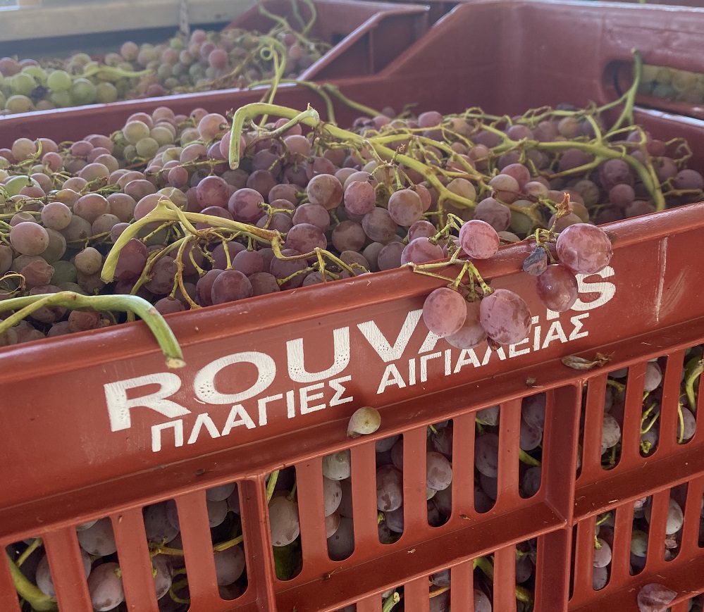 Rouvalis | Bibendum Wine