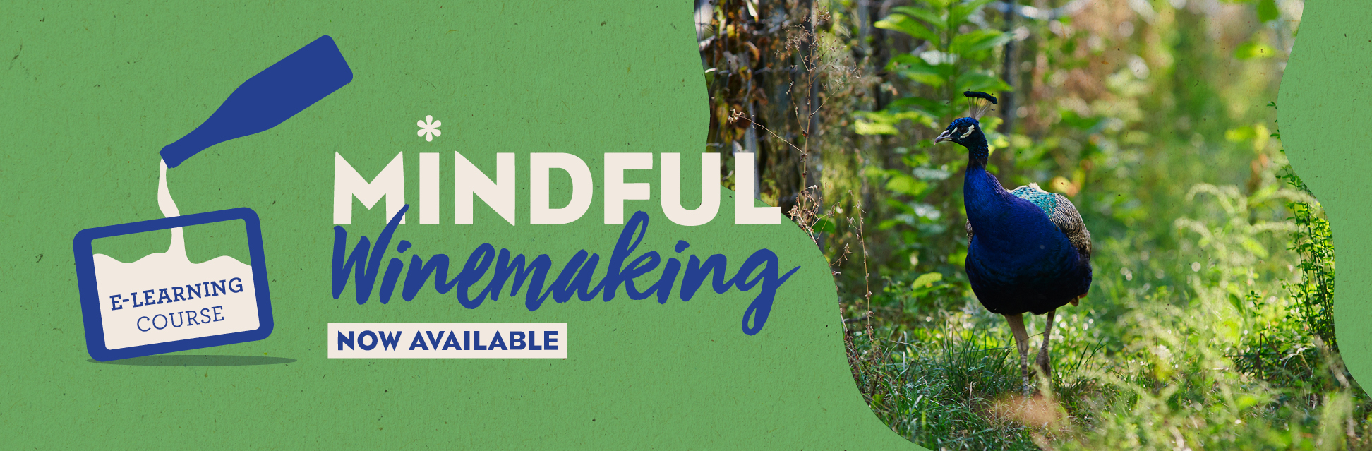 Mindful Winemaking | Bibendum Wine