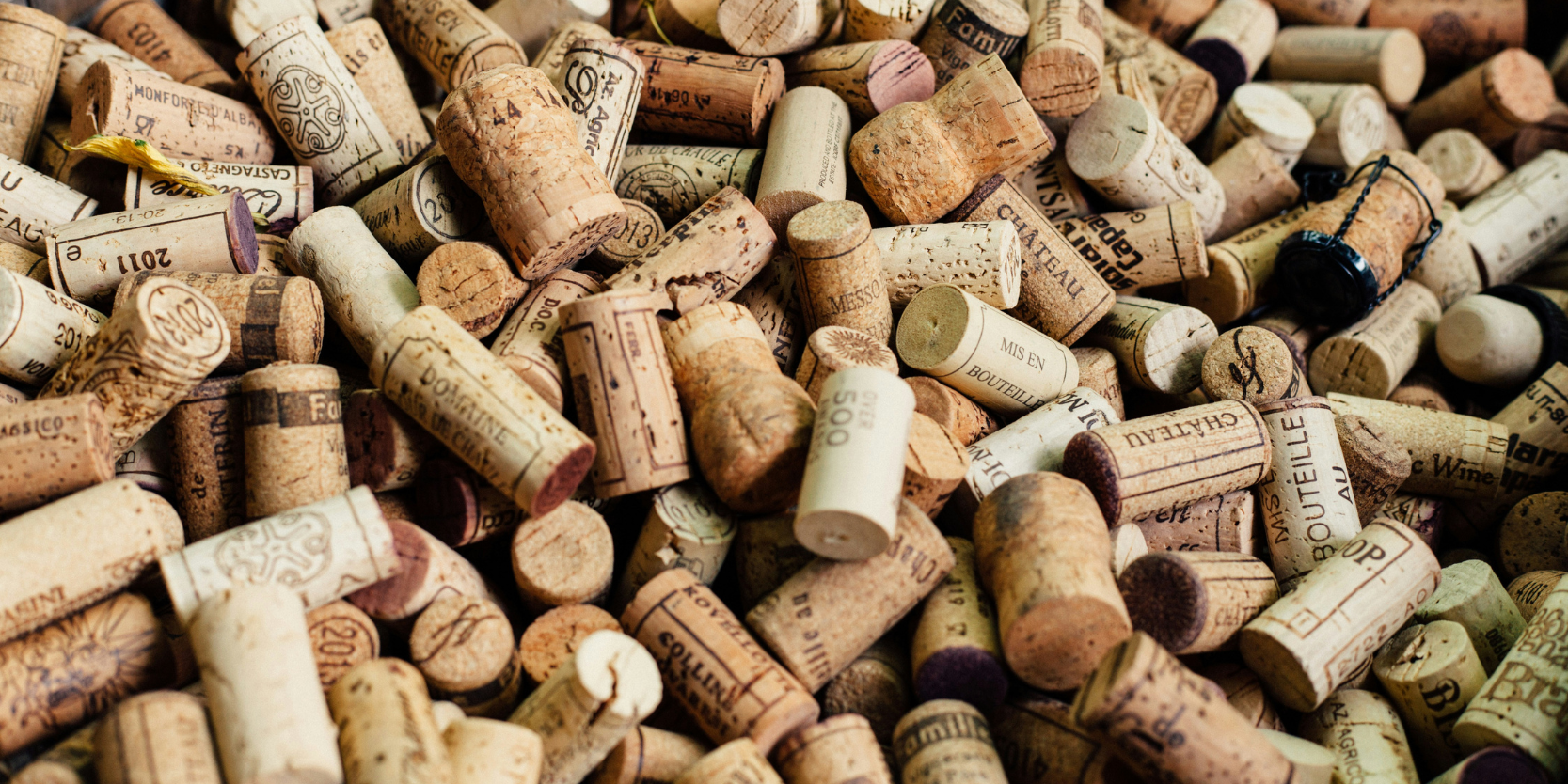 Wine faults and how to identify them | Bibendum Wine
